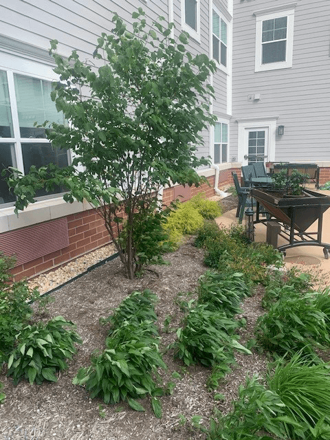 Environmental Benefits: The Memory Care Courtyard